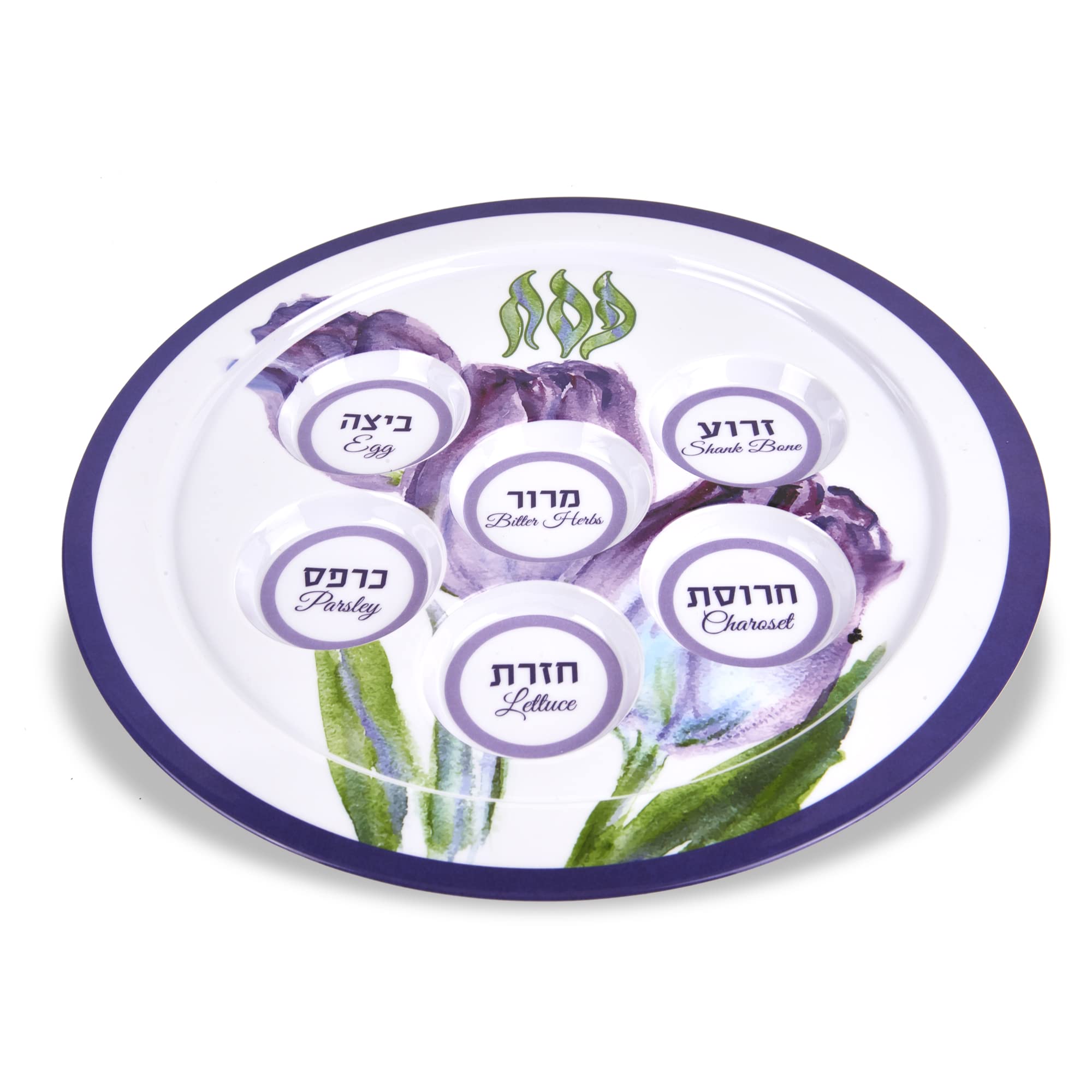Snapklik.com : Zion Judaica Spring-Themed Passover Seder Plate 12 Round ...