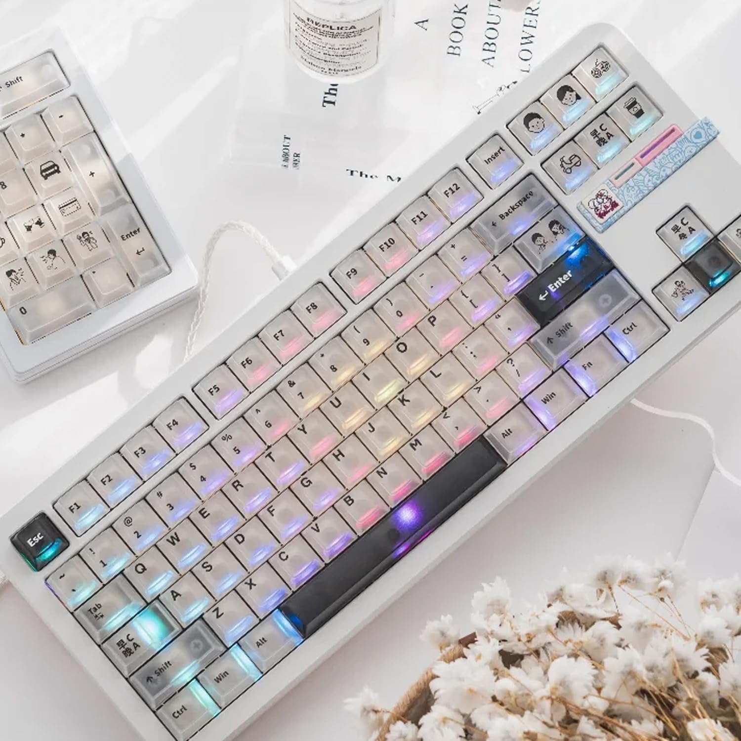 Amazon.com: 151 Keys Transparent Cherry Profile Keyboard Keycaps ...