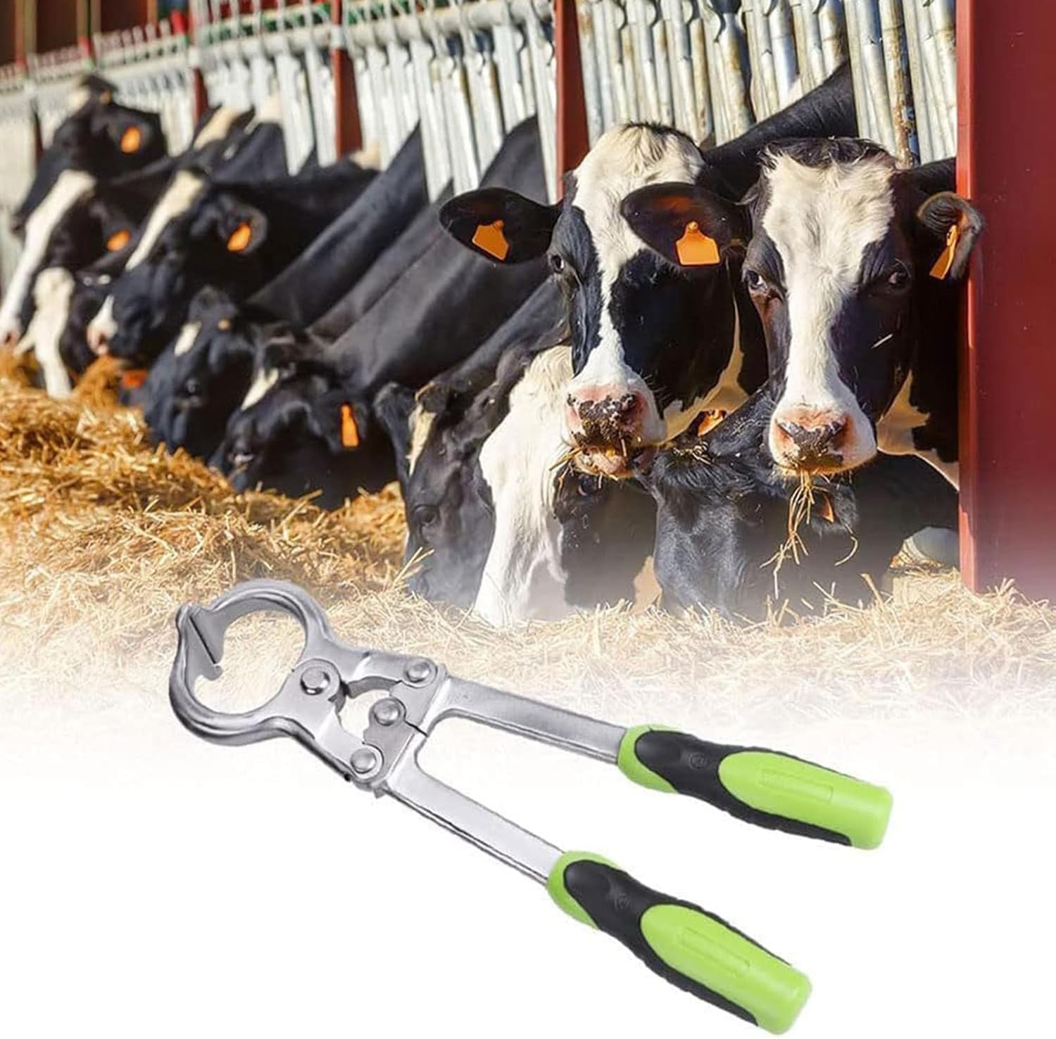 Amazon.com: Castration Plier, Bloodless Bull Cow Castrator Pliers ...