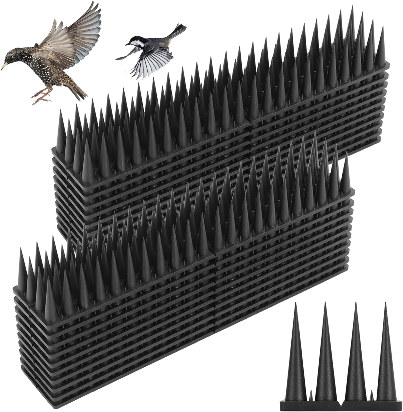 Amazon.com : XDQQ Bird Spikes, 30 Pack Bird Squirrel Raccoon Pigeon Cat ...