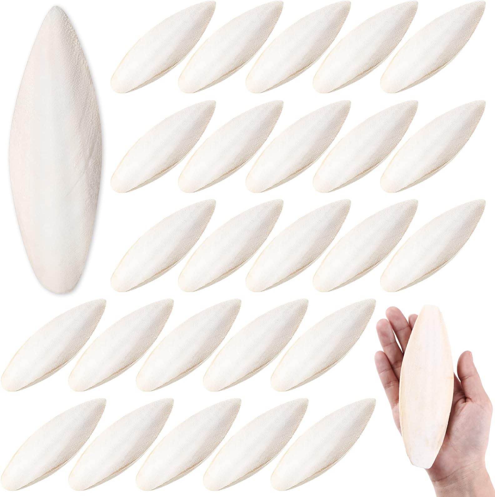 Amazon.com : Sepia King - Premium Cuttlebone for Birds, Tortoises ...