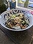 Plantifully Simple: 100 Plant-Based Recipes and Meal Plans for Health ...