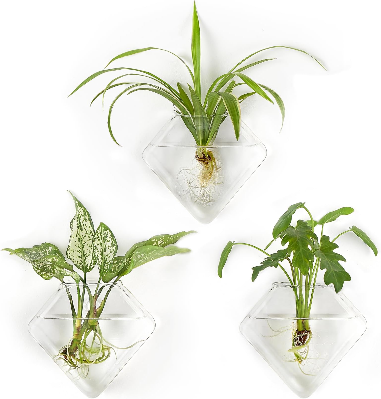 Amazon.com: 4 Pack of Glass Wall Hanging Planters Glass Plant Terrarium ...