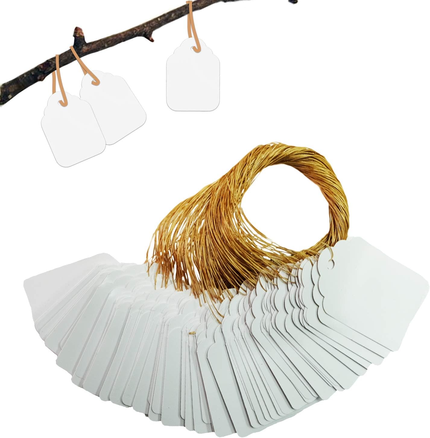 Amazon.com: BEADNOVA Plant Hanging Tags 100pcs Tags with String ...