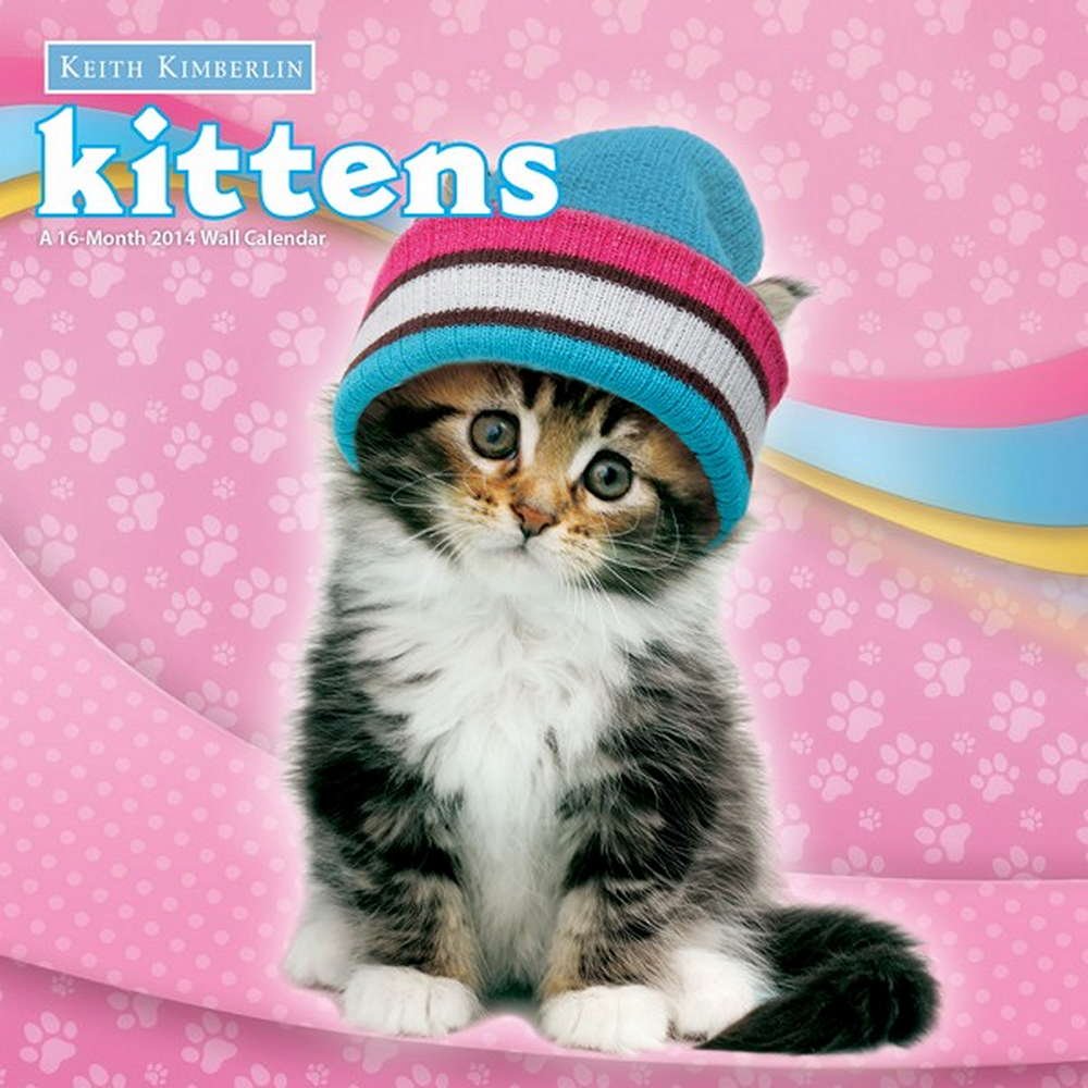 Keith Kimberlin - Kittens 2014 Calendar: Kimberlin, Keith ...