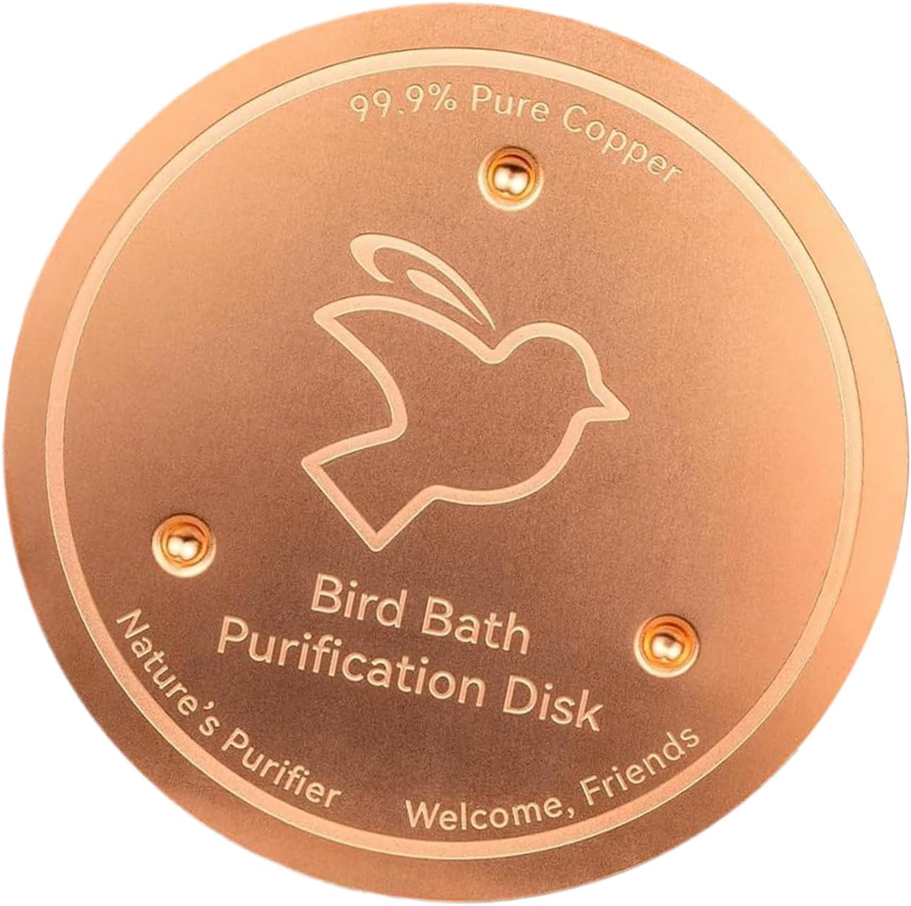 Amazon.com : Copper Disk for Bird Bath | Bird Bath Copper Disk,Feeder ...