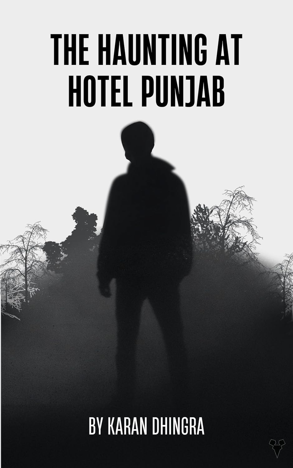 Amazon.com: The Haunting at Hotel Punjab: In the heart of Punjab stood ...