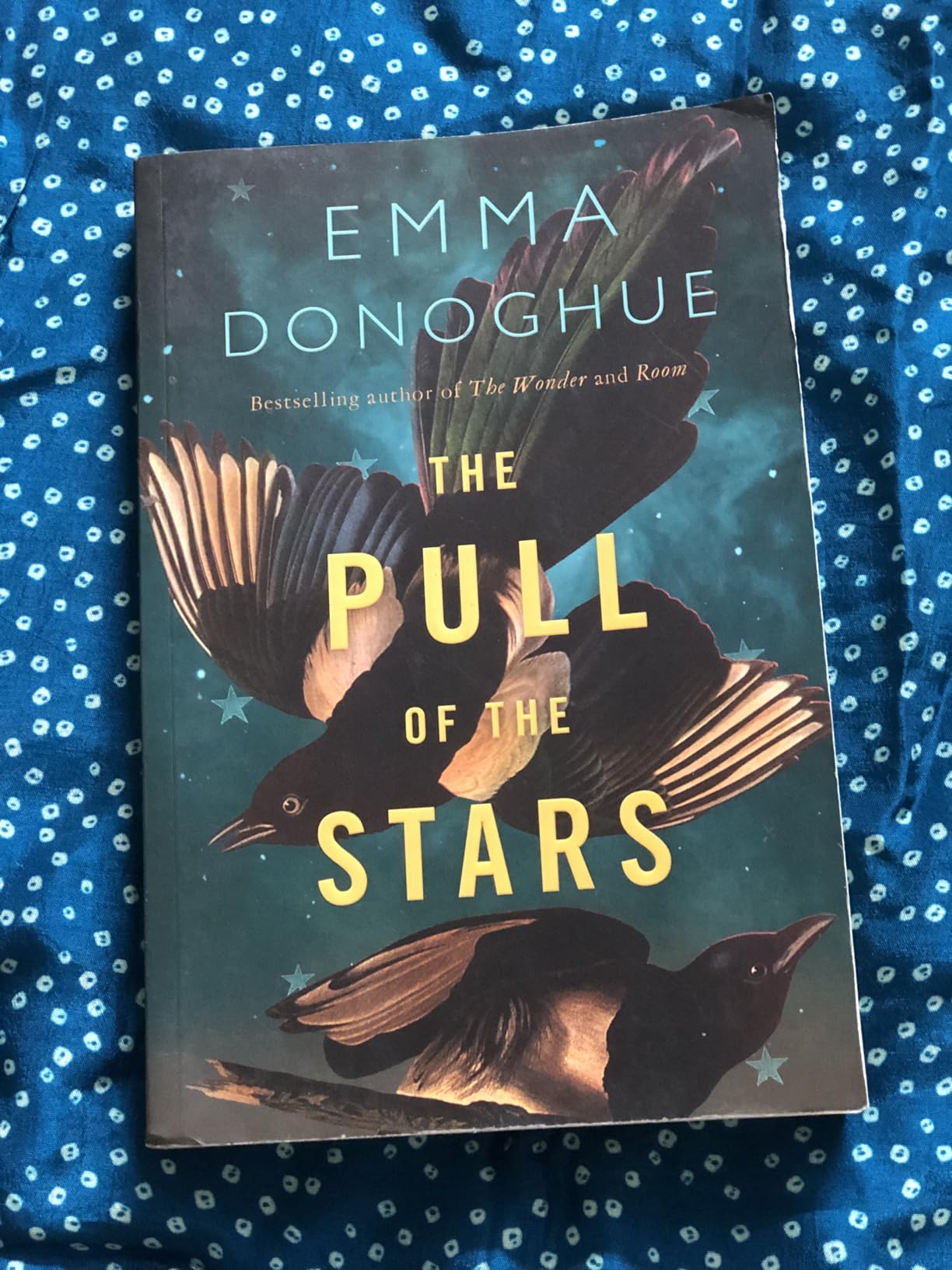 Buy The Pull of the Stars: A Novel Book Online at Low Prices in India ...