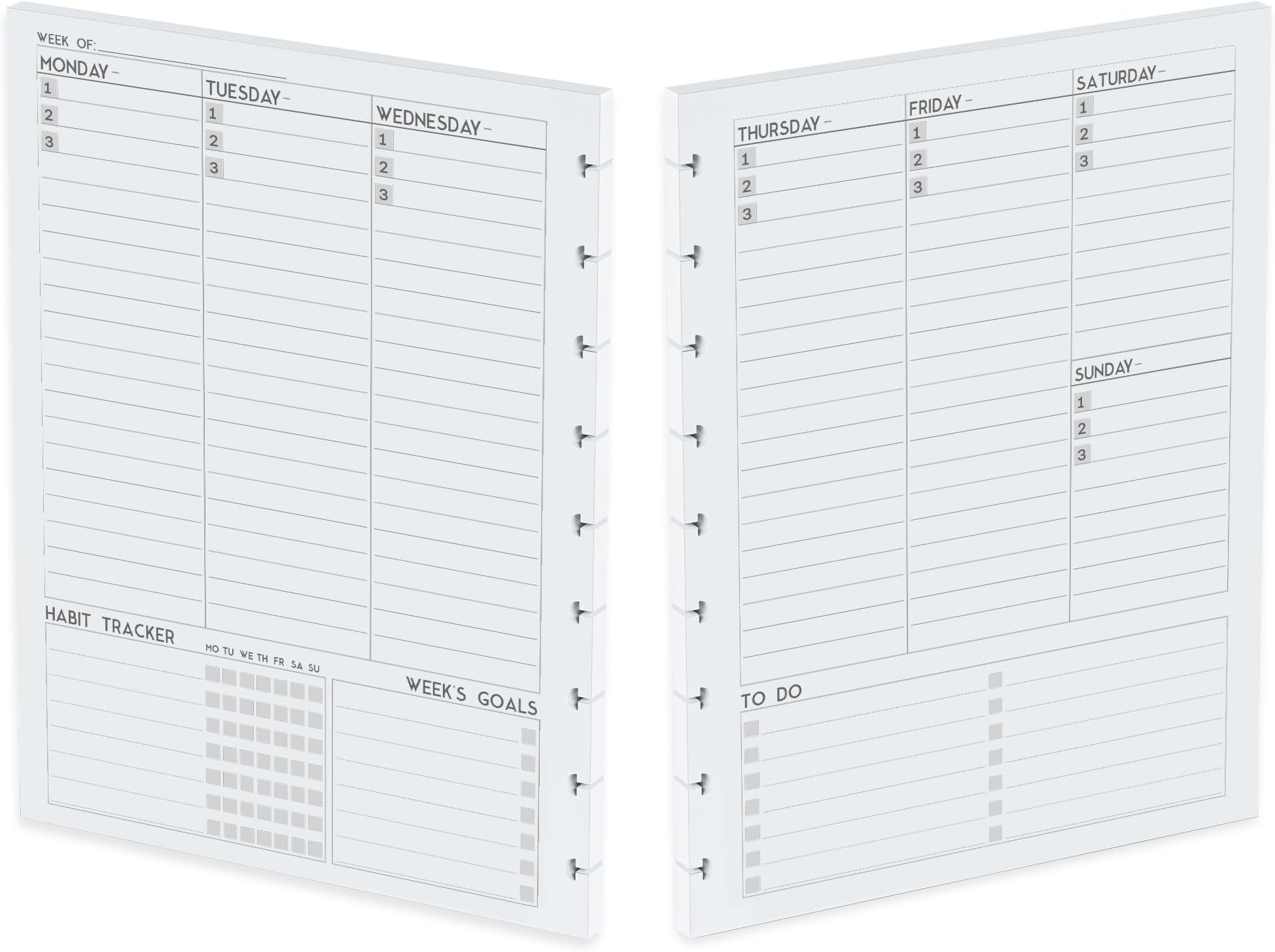 Amazon.com : Eleven Discs Discbound Paper, Junior Size Undated Daily ...