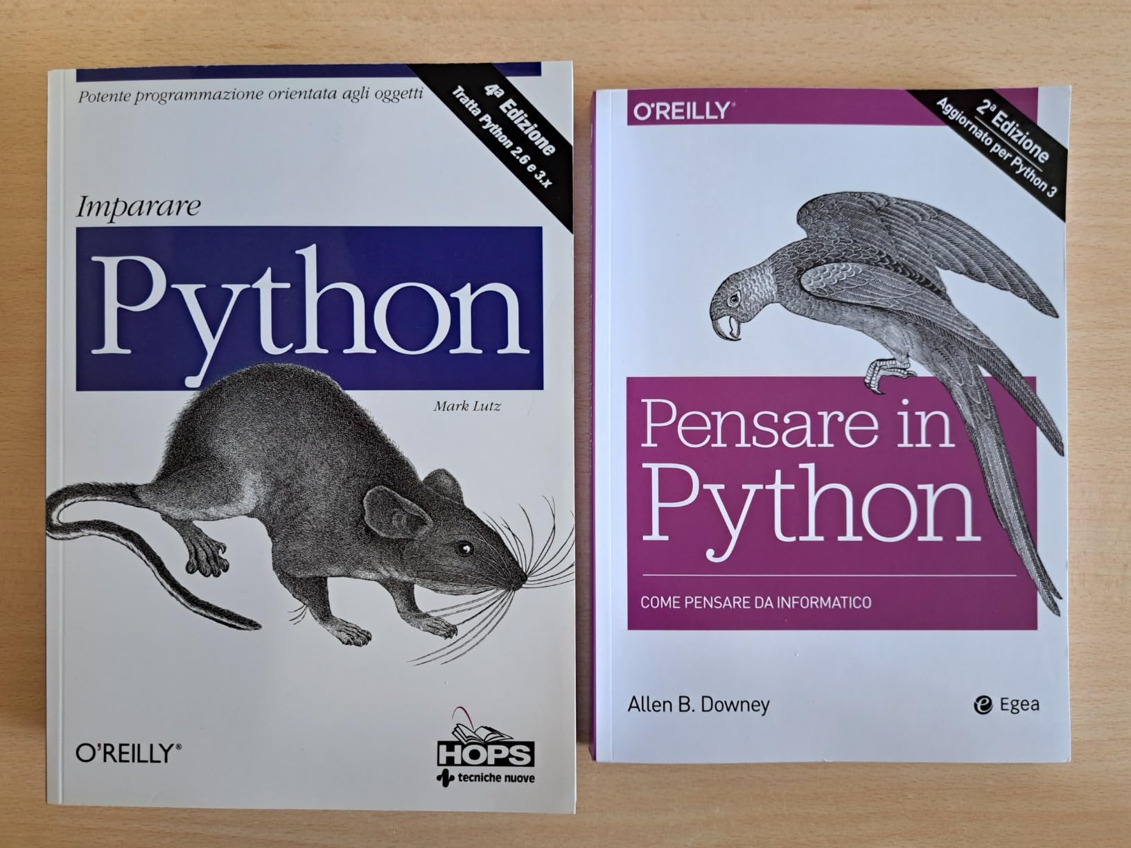 Amazon.it: Pensare in Python - Downey, Allen - Libri