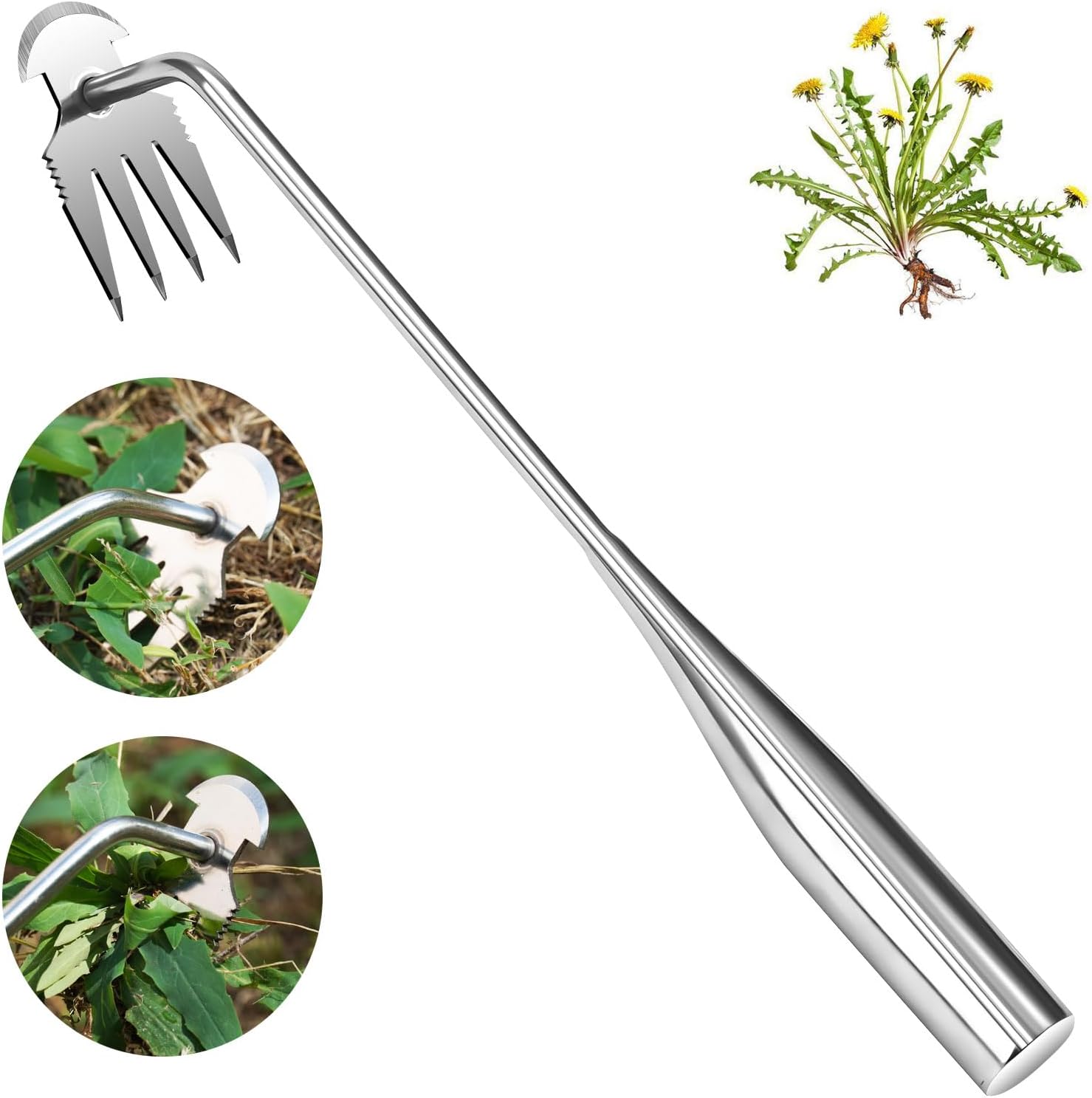 Amazon.com : LANBOUY Weed Rake Puller Gardening Weed Garden Hand Weed ...