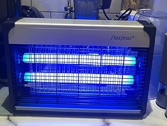 fraxinus FSL BL T8 F10W Replacement Bulbs for Fly Killer, 13in UV Lamp ...