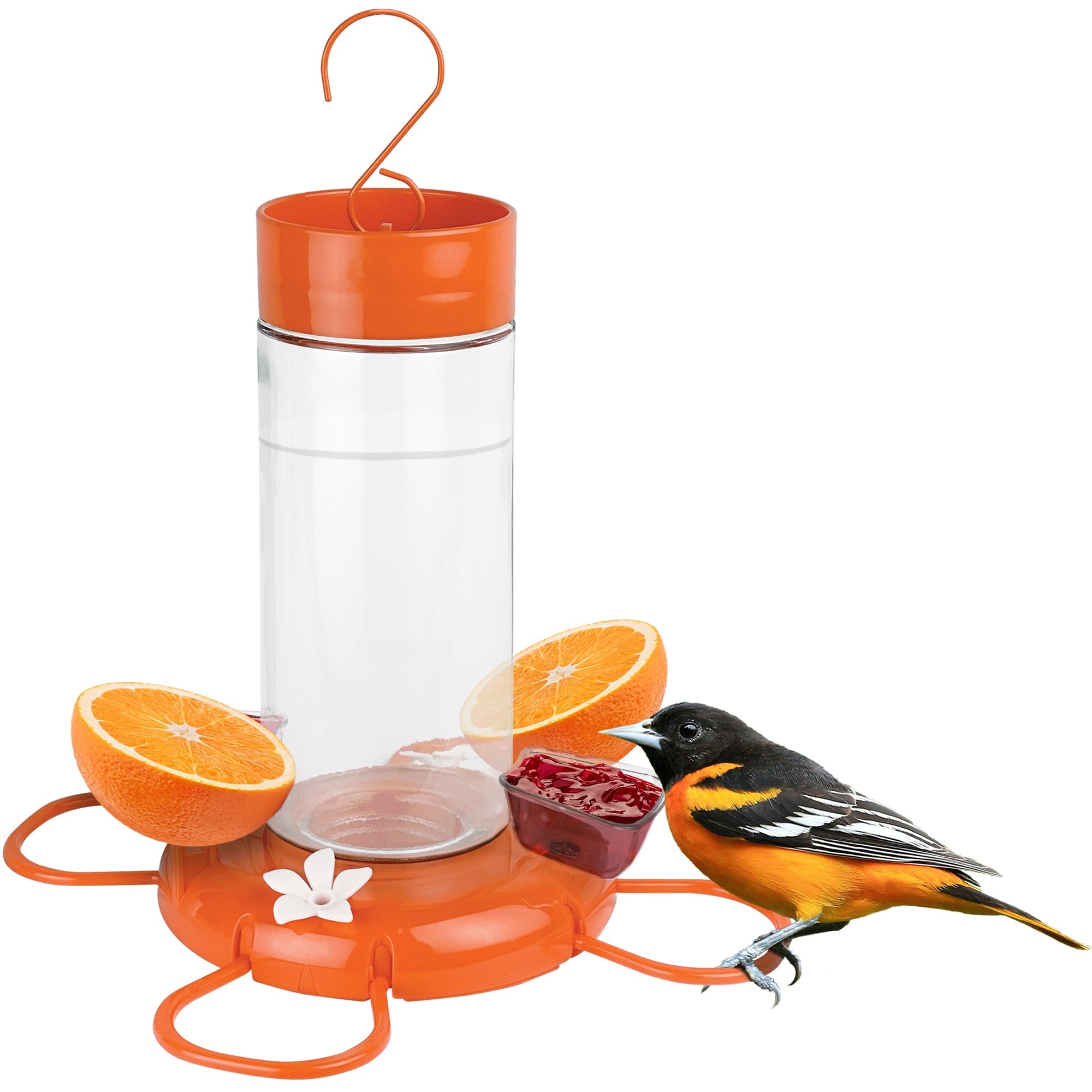 Amazon.com : Nature's Way Hanging Glass Oriole Feeder for Outdoor Décor ...
