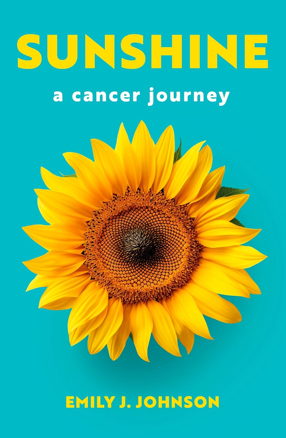 SUNSHINE: a cancer journey - Kindle edition by Johnson, Emily J ...