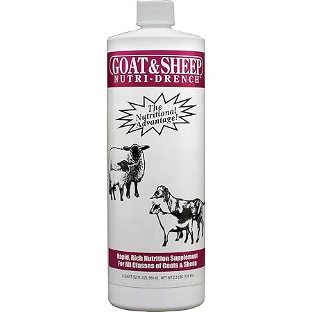 Amazon.com: Nutri-Drench Goat & Sheep Nutrition Supplement 1 Pint 16 oz ...