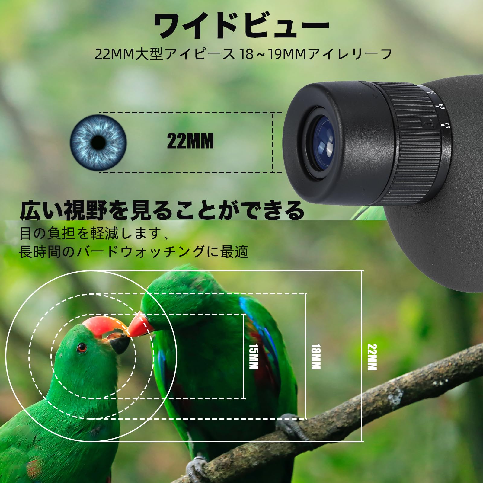 Amazon | 25-75x60 ED スポッティングスコープ ターゲット撮影用 伸縮