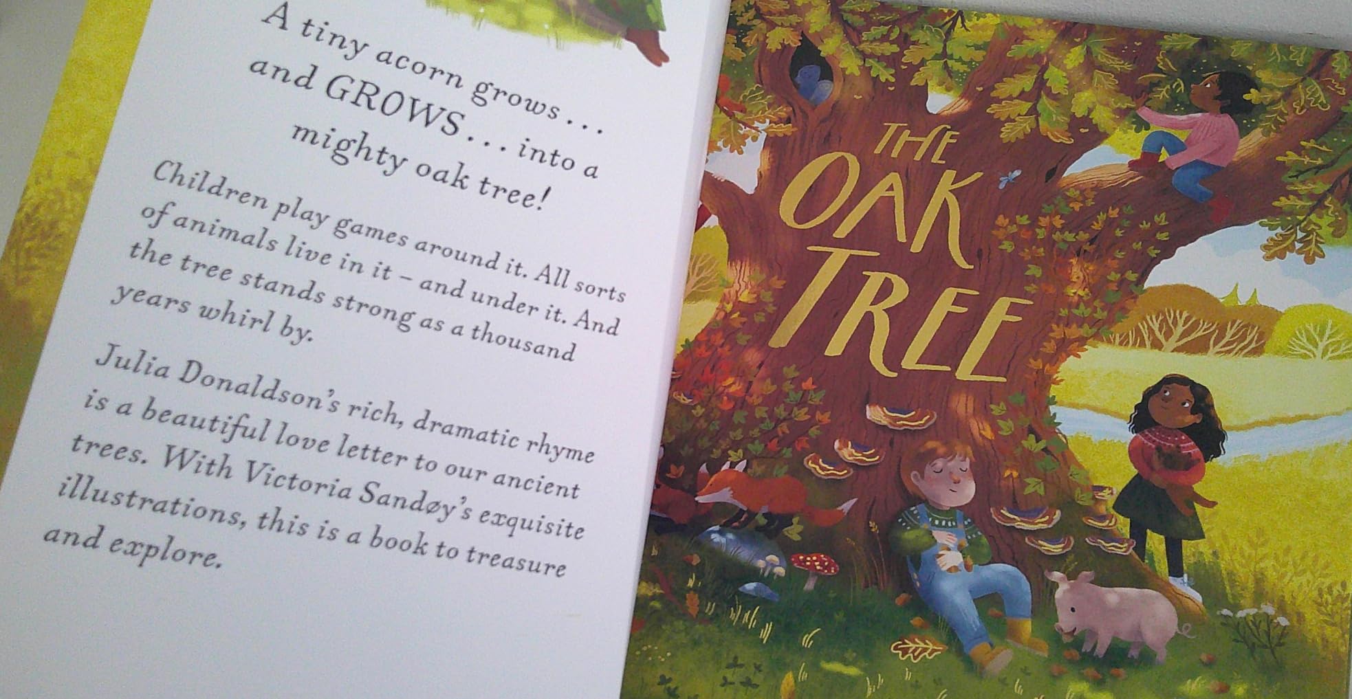 The Oak Tree: a dazzling picture book, by Julia Donaldson, author of ...