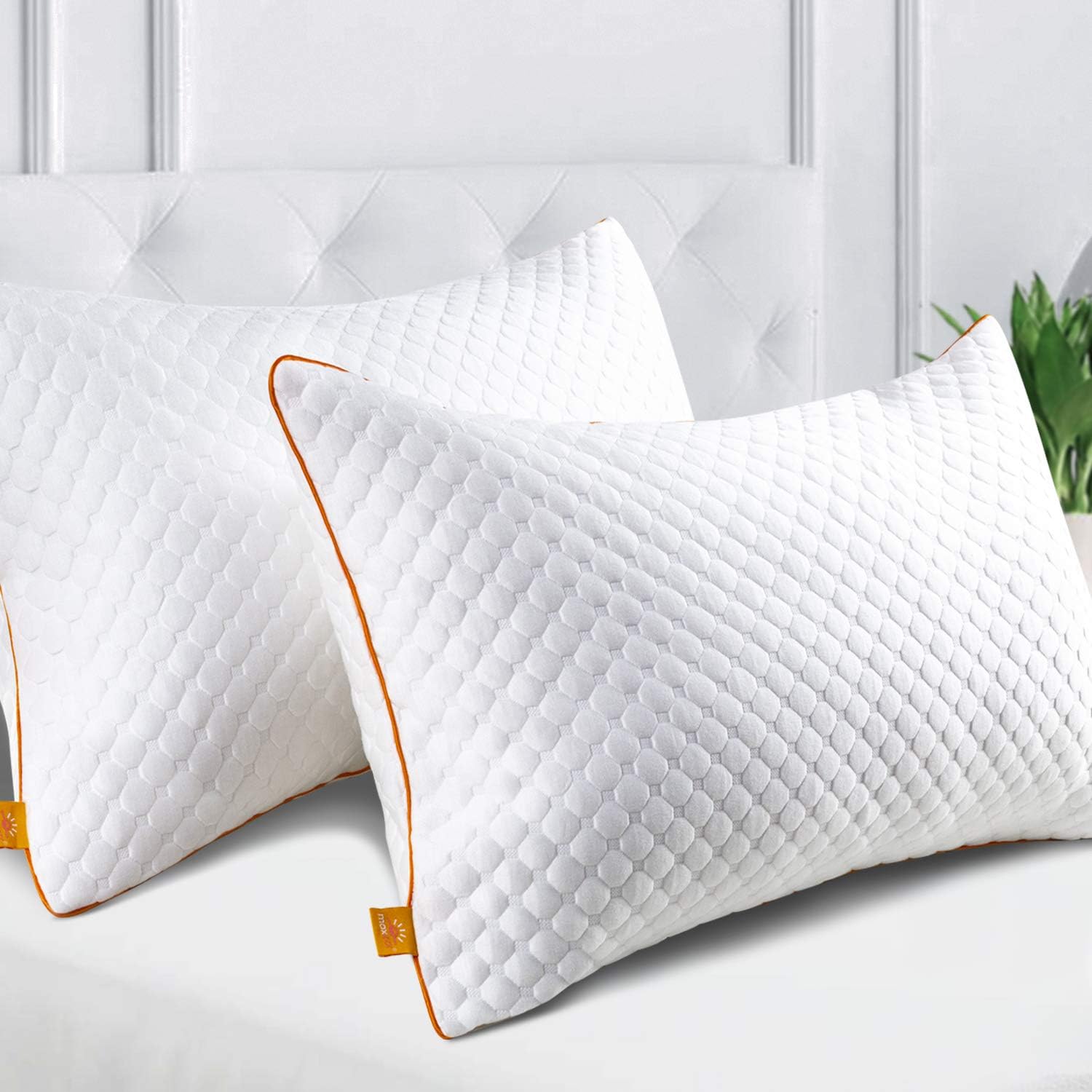 Komfortec Oreillers 50x75 cm Lot de 2 avec Housse Hypoallergénique, 100 ...