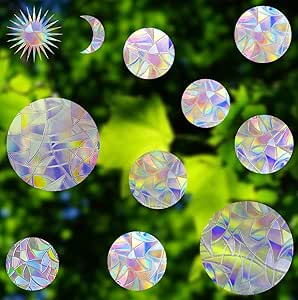 Amazon.com: 18 Pcs Circle Window Clings - Anti-Collision Window Decals ...