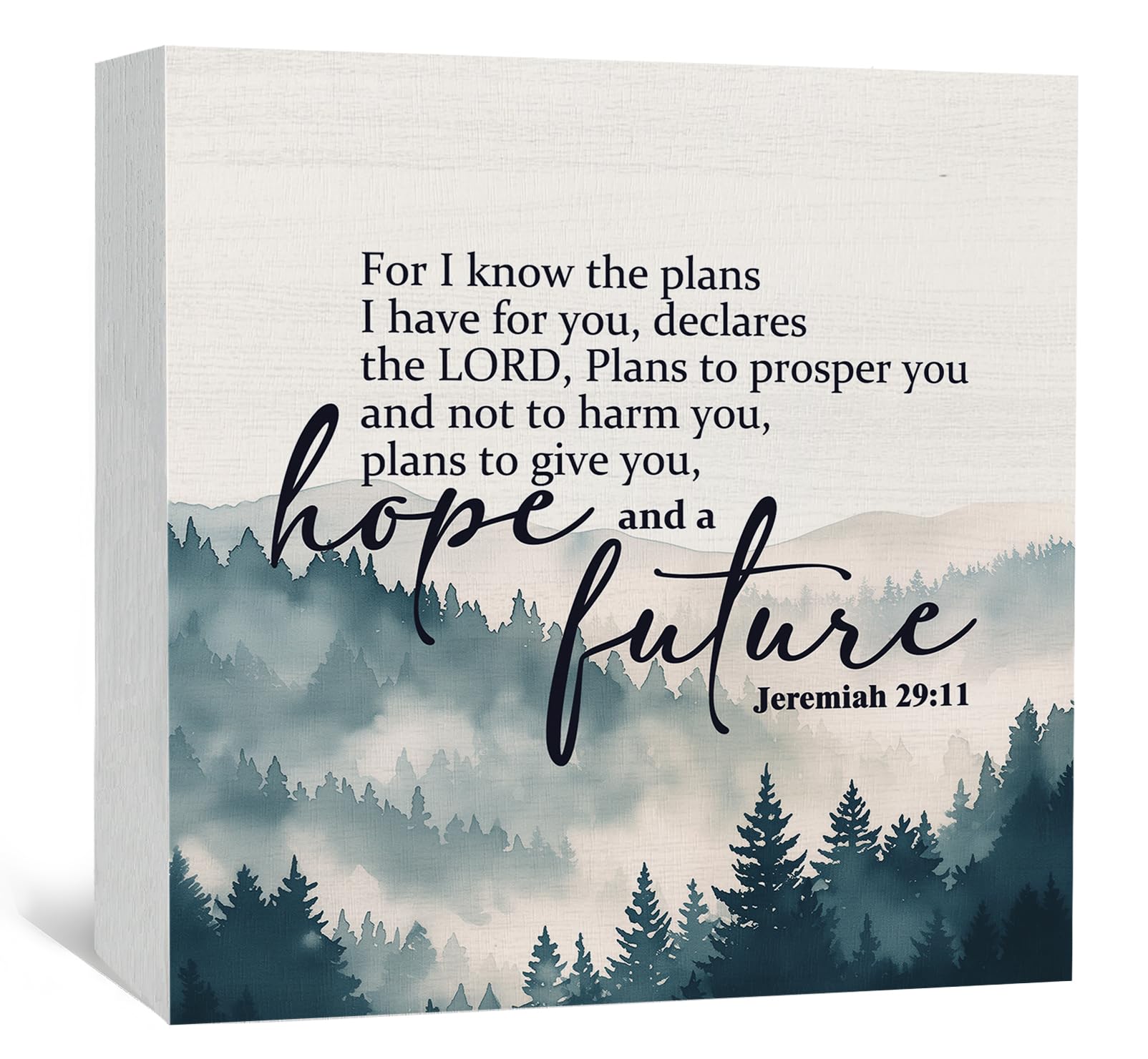 Jeremiah 2911 Inspirational Image