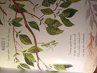 My Awesome Summer by P. Mantis (A Nature Diary): Meisel, Paul ...