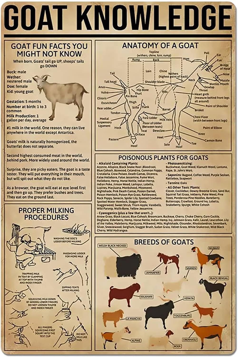 Amazon.com: Goat Knowledge Quick Guide Metal Tin Signs Vintage ...
