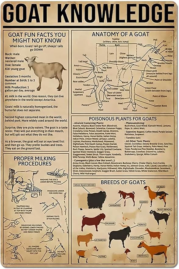 Amazon.com: Goat Knowledge Quick Guide Metal Tin Signs Vintage ...