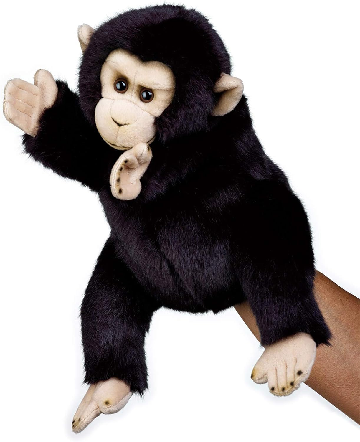 Amazon.com: NATIONAL GEOGRAPHIC Hand Puppets - Chimpanzee : Toys & Games
