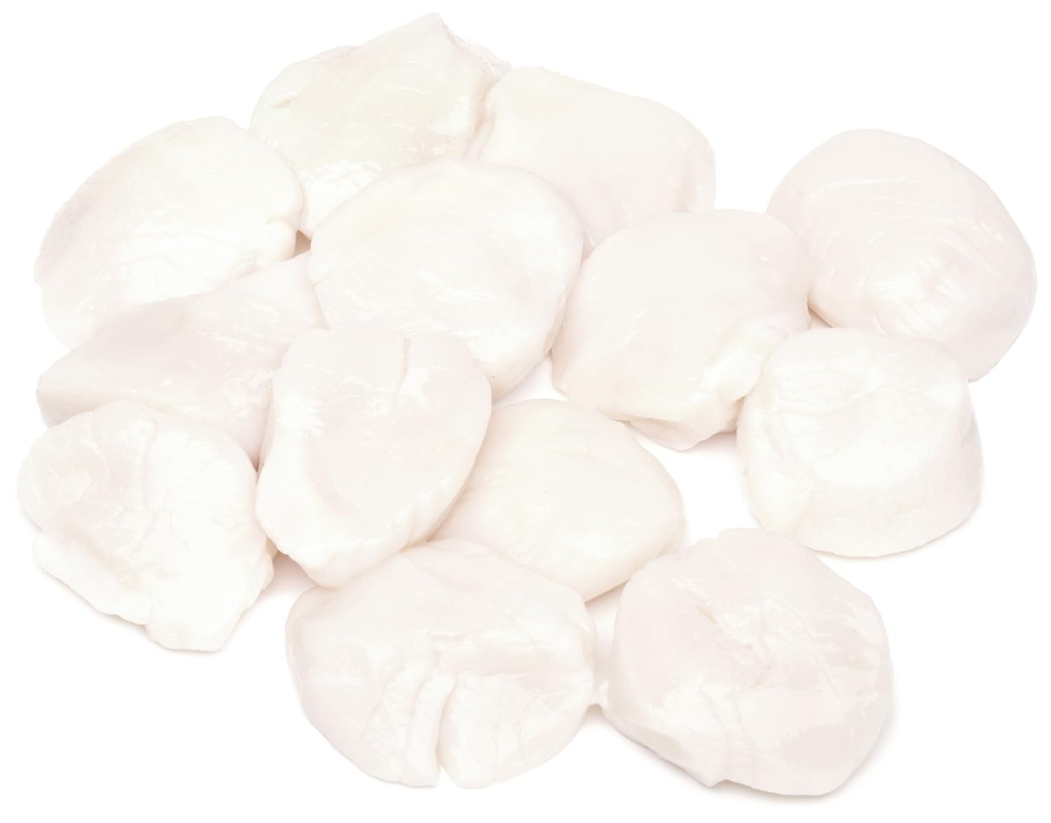 Amazon.com : Frozen, Wild, Sea Scallop, U/12, 16 oz : Scallops Seafood ...