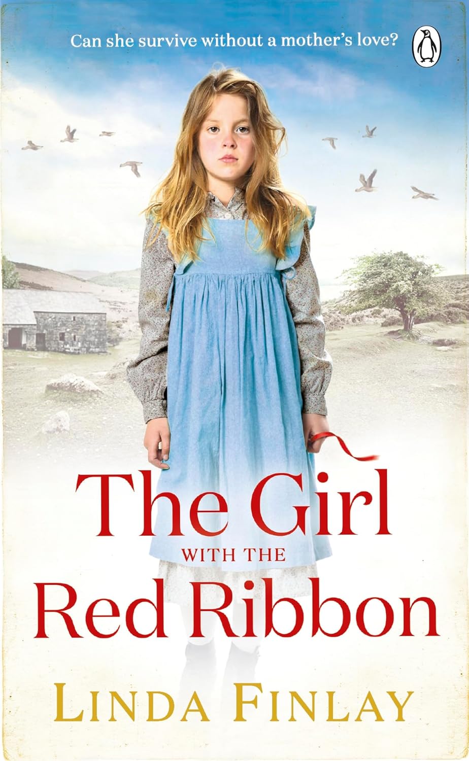 The Girl With The Red Ribbon: Not Stated: 9781405926201: Amazon.com: Books