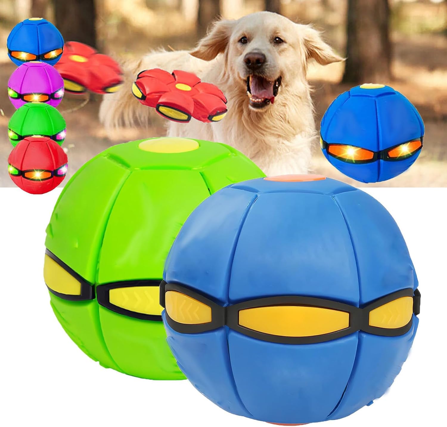 Amazon.com : Dotmalls Petootsy Doggy Delight Disc, Vianys Petootsy ...