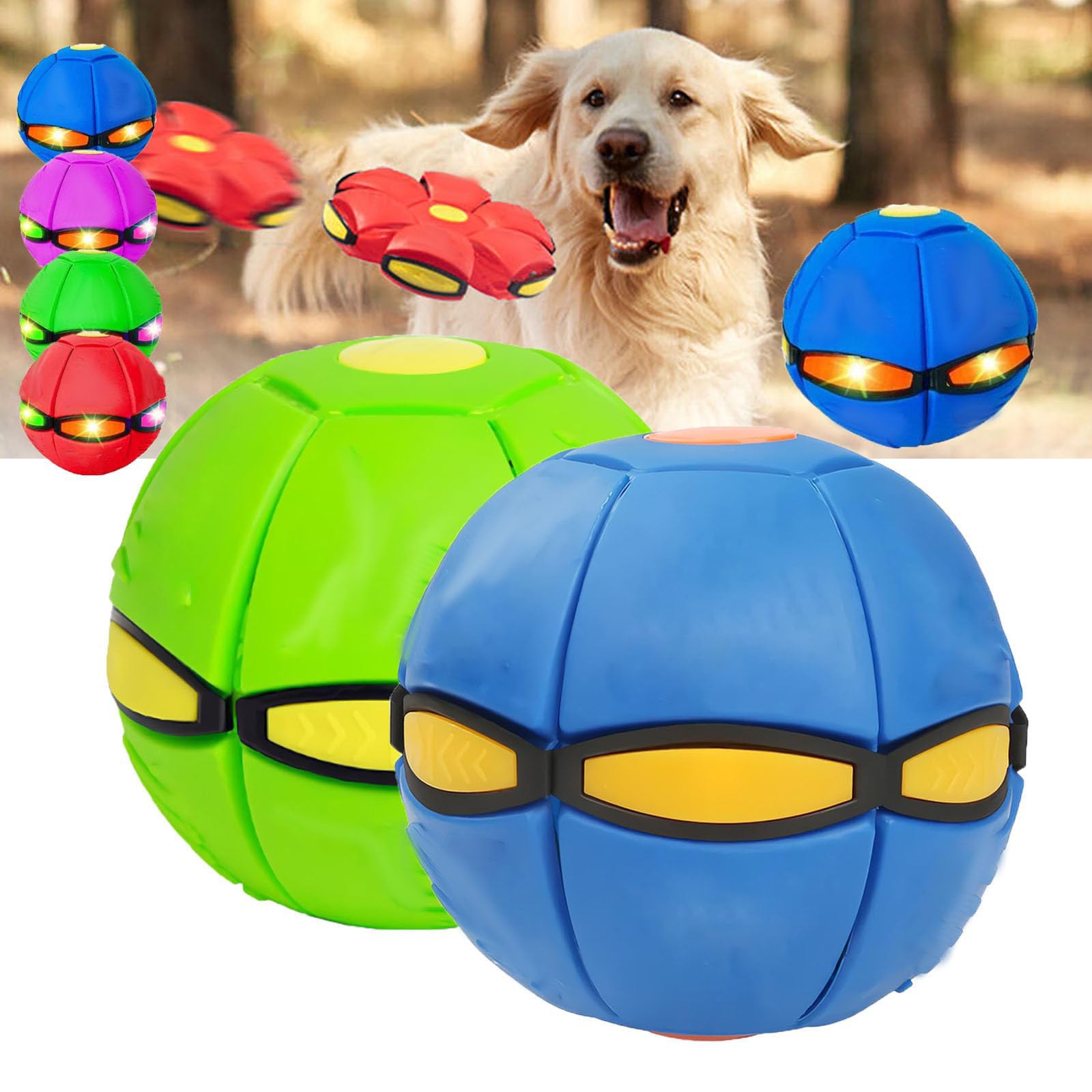 Amazon.com : lkujiop Petootsy Doggy Delight Disc | Dotmalls Petootsy ...