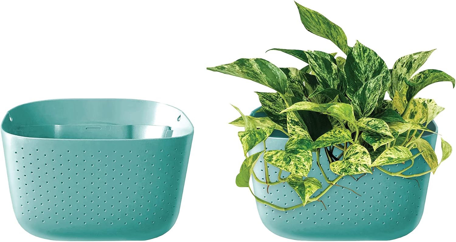WallyGro Eco Vertical Garden Wall Planter - Spa (2 Pack) : Amazon.co.uk ...