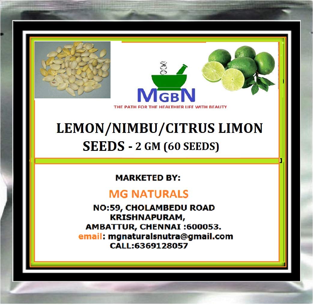 LEMON/NIMBU/CITRUS LIMON SEEDS - 2 GM (60 SEEDS) : Amazon.in: Garden ...