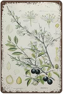 Amazon.com: Botanical Black Thorn Tree Print Wall Art Metal Tin Sign ...
