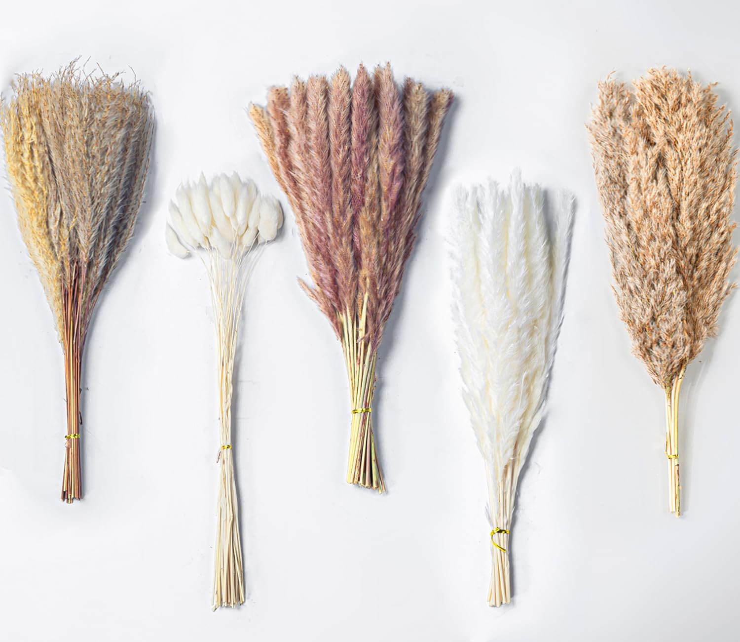 Amazon.com: Happyhapi Natural Dried Pampas Grass Bouquet 92Pcs for Boho ...