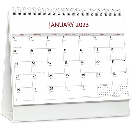 Amazon.com : EcoEarth Biodegradable 8x6 Inch 18 Month Standing Desk ...