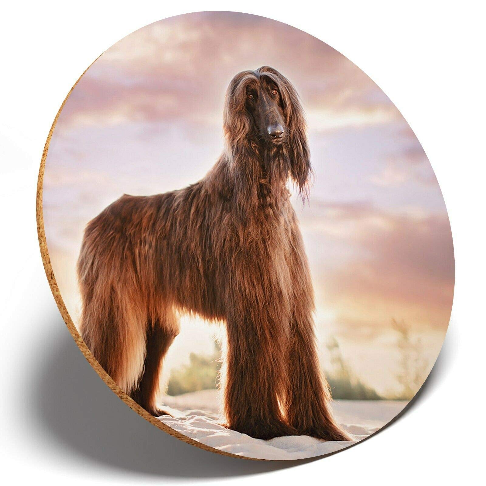 Red Afghan Hound Afghan Hound Breed Dog Looking To The Side Stock