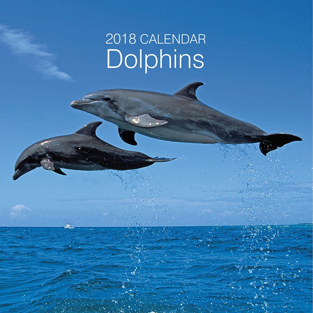 Dolphins 2018 Calendar (Calendars 2018): Amazon.co.uk: Peony Press ...