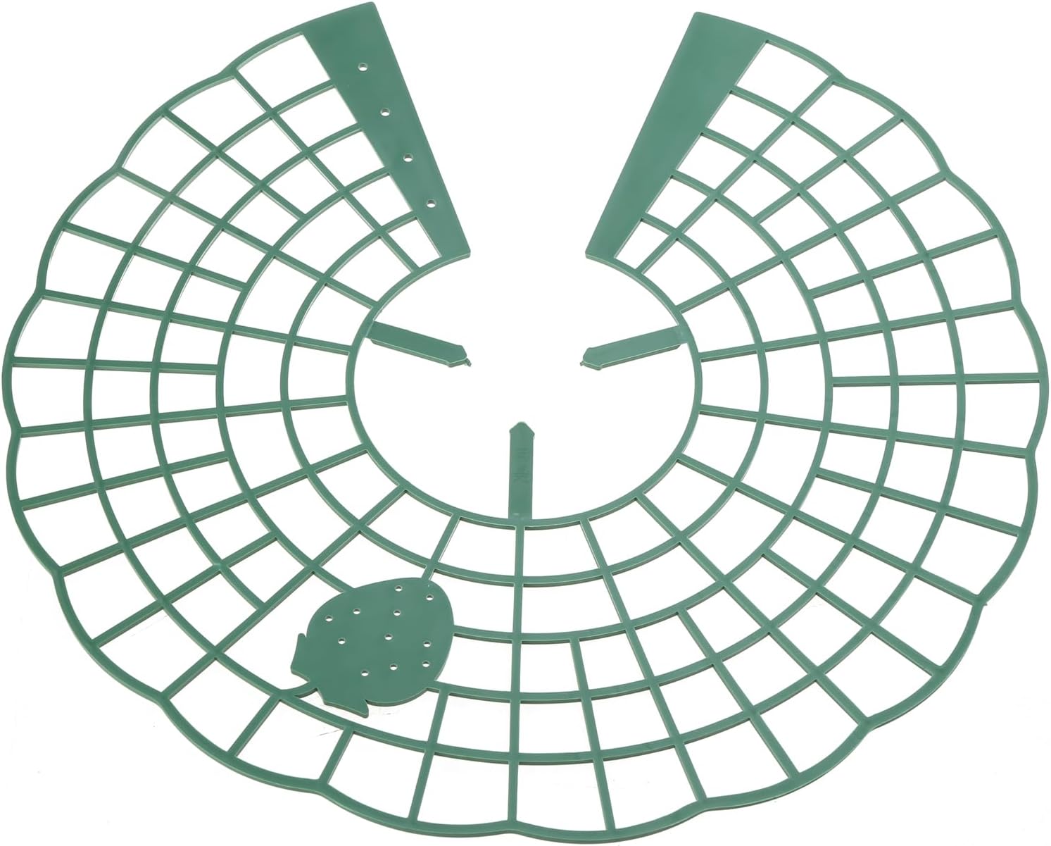 Amazon.com : Kcjhagbd Strawberry Supports Strawberry Mature Set Plant ...