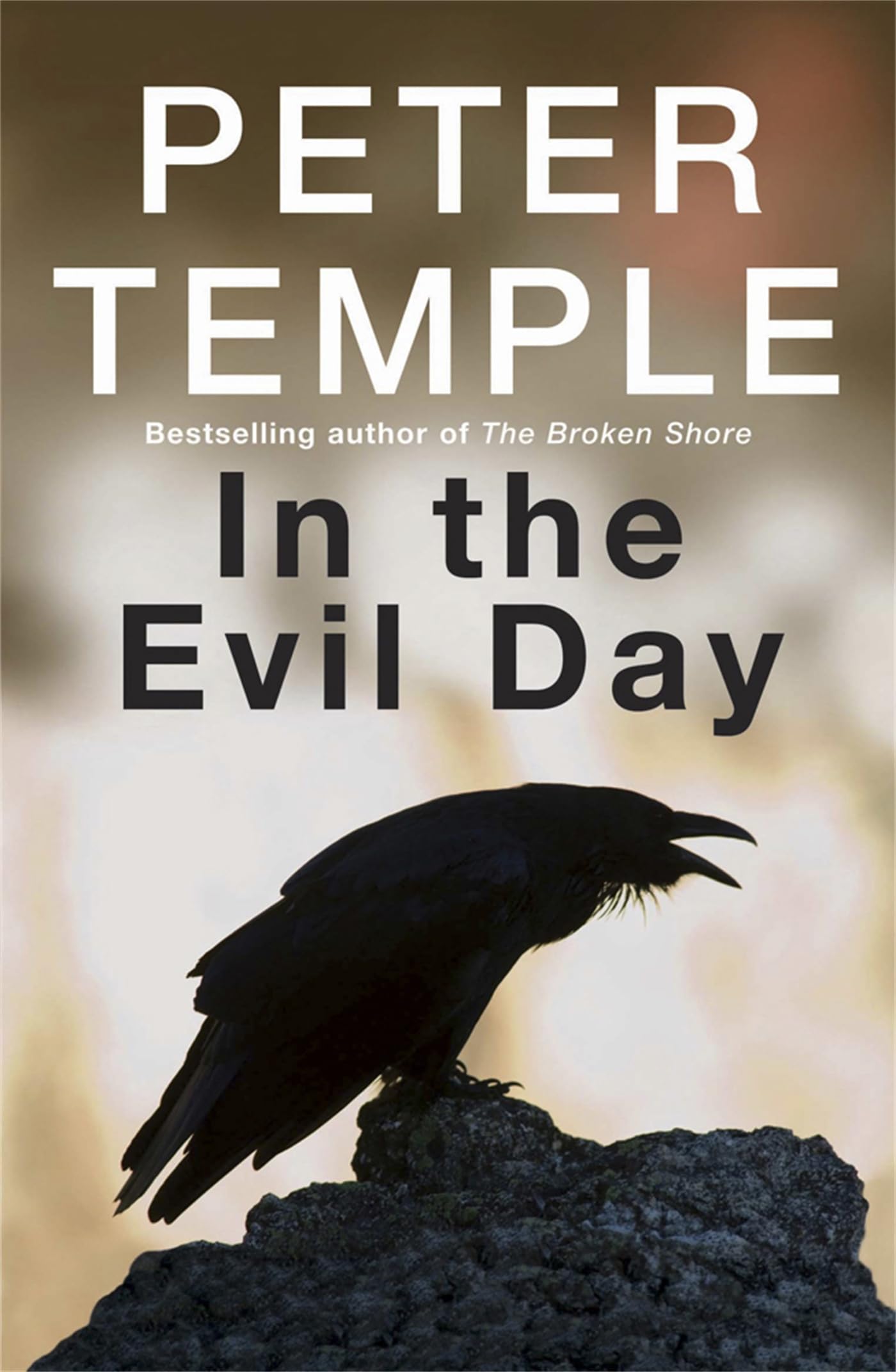 In the Evil Day: Peter Temple: 9780857383501: Amazon.com: Books