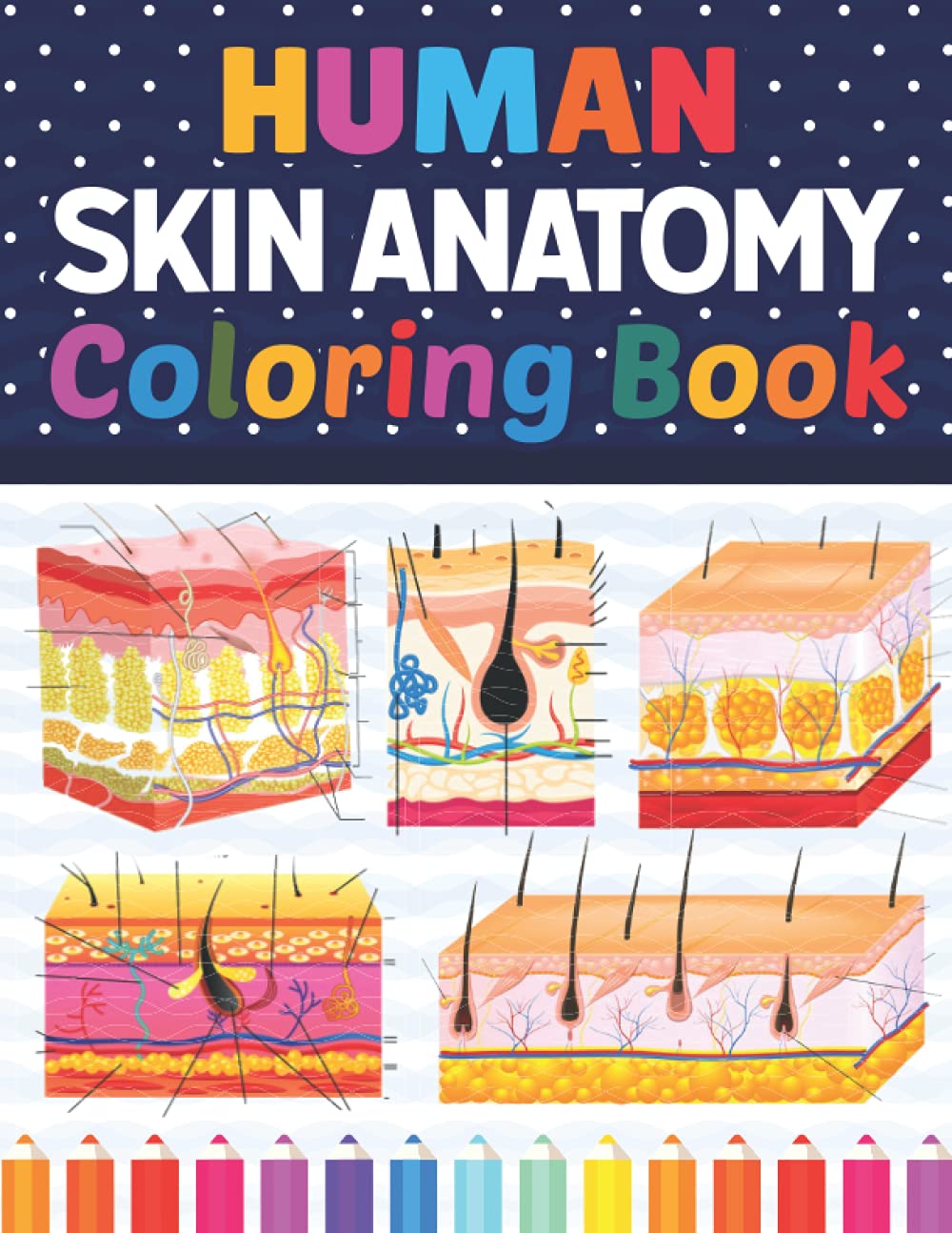 Human Skin Anatomy Coloring Book Human Skin Anatomy Self Test ...