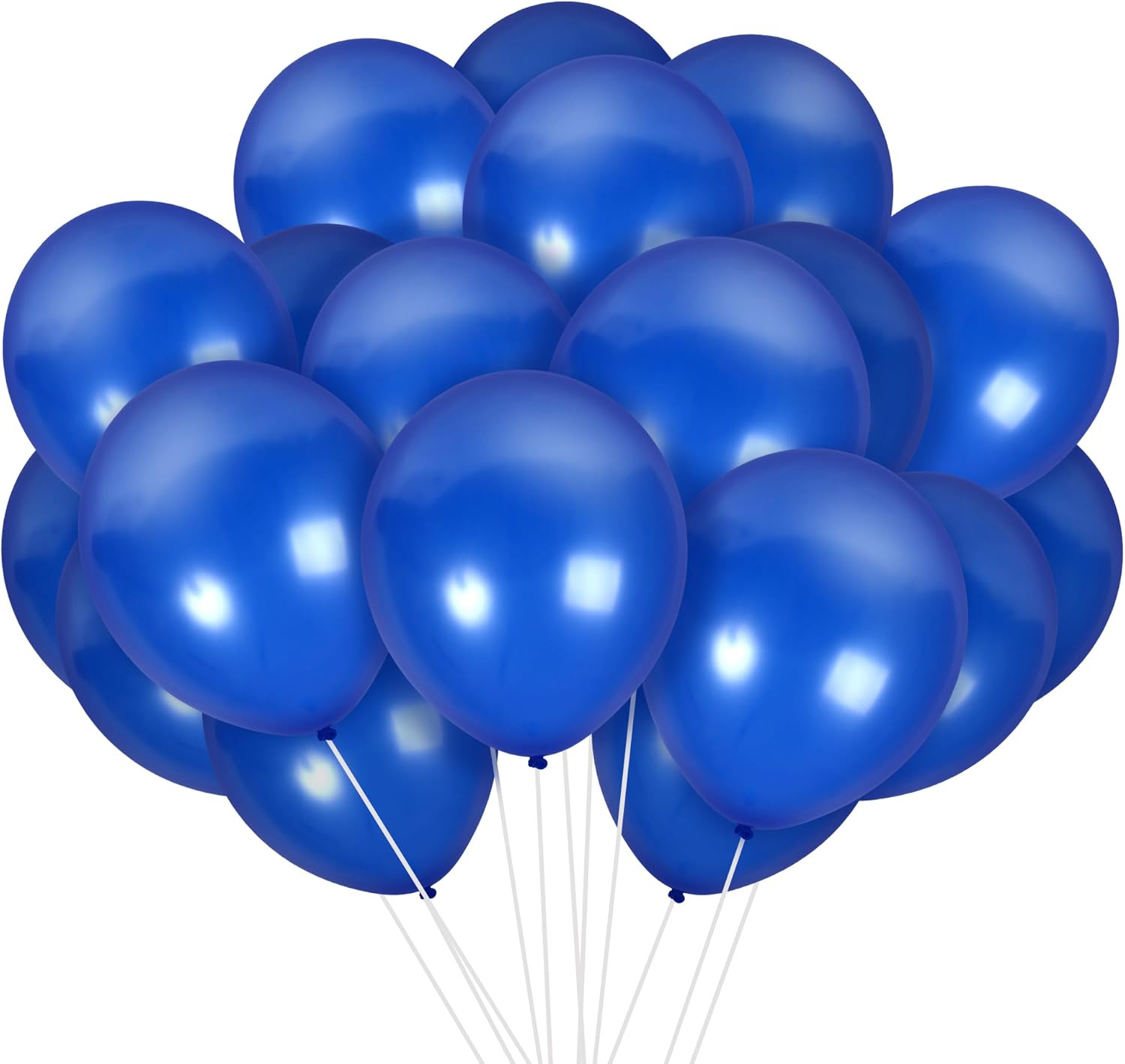 Amazon.com: Treasures Gifted Glossy Royal Blue Balloons 12 inch 36 Pack ...