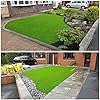 Amazon.com: Petgrow Artificial Turf Synthetic Grass 6 X 10 Feet,Fake ...