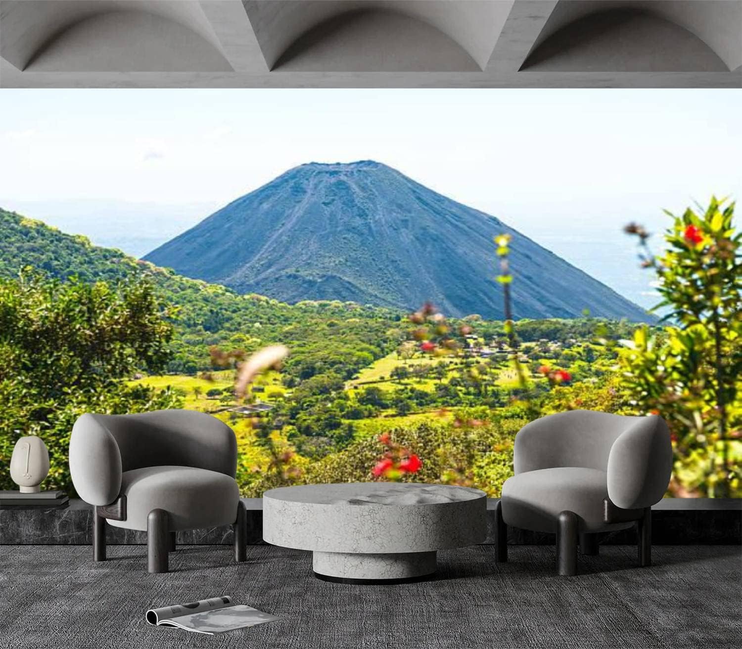 Amazon.com: Vintage Izalco Volcano Cerro Verde National Park El ...