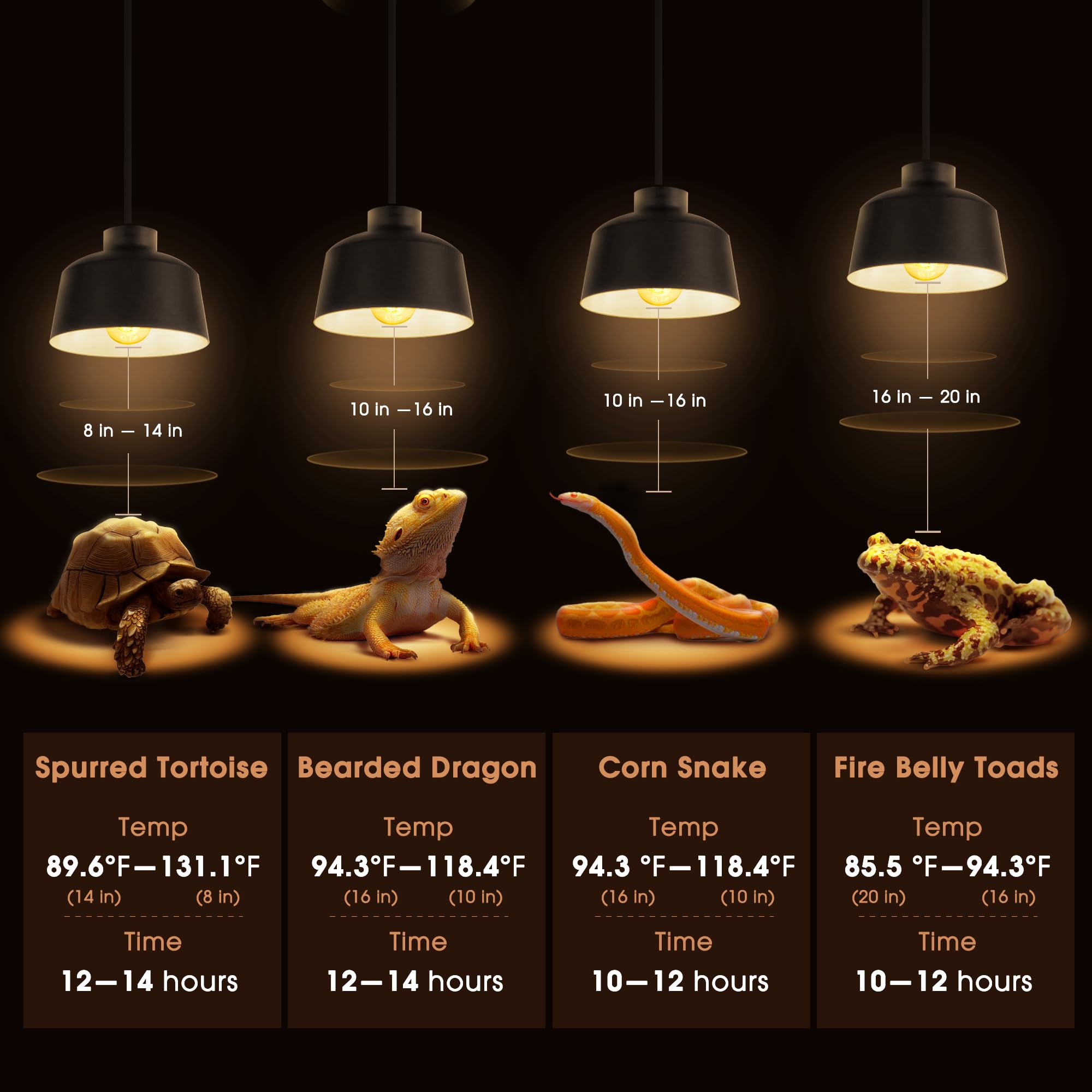 Snapklik.com : Heat Emitter For Reptiles, 40W Heat Lamp Bulb, Reptile ...