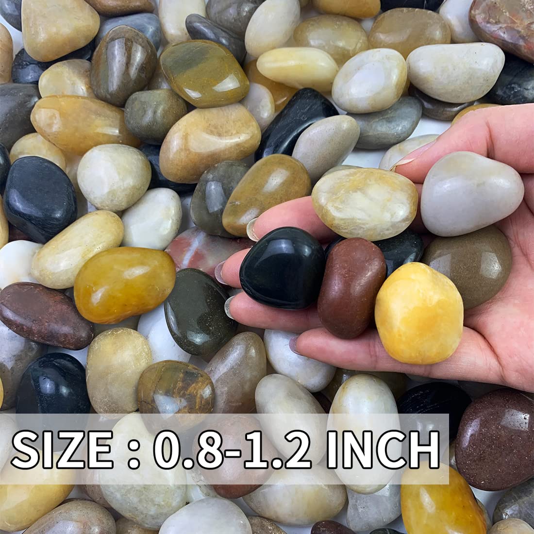 Snapklik.com : FANTIAN Natural Decorative Polished Mixed Color Small ...