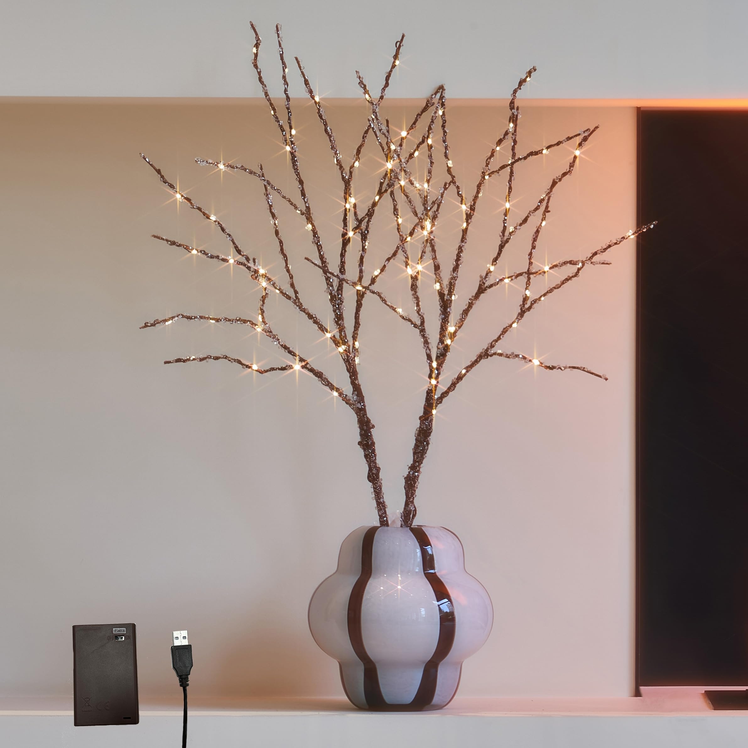 Amazon.com: LITBLOOM Lighted Iced Willow Branches 32IN 100 LED with ...