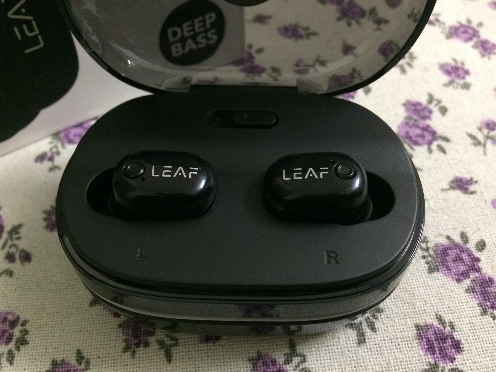 Leaf Buds True Wireless Earphones (Carbon Black) : Amazon.in: Electronics