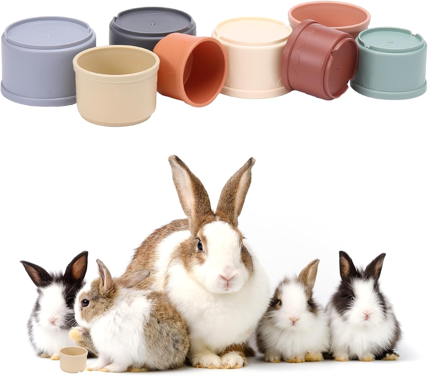 Amazon.com: Fuyamp 8 Pcs Stacking Cups for Rabbits,Multi-Colored ...